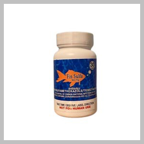 Sulfa 960 MG 30 Count Sulfamethoxazole Trimethoprim Fish Antiobiotics ...