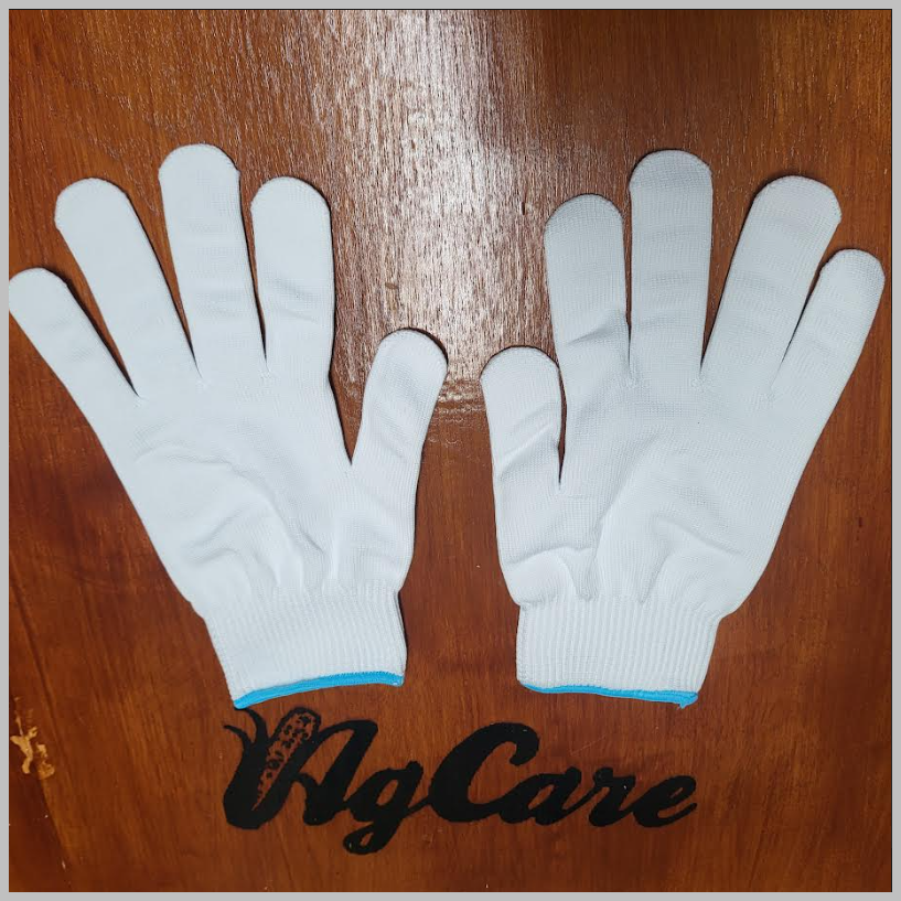 Gloves String Knit Cotton Sold by pack of 12 pair – Agcare Products
