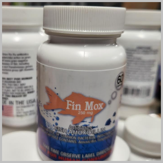 Amoxicillin 250 mg 60 Count Aquafish Fin Mox – Agcare Products