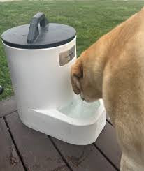 Pet Waterer Gallagher Ultimate 5 gallon – Agcare Products