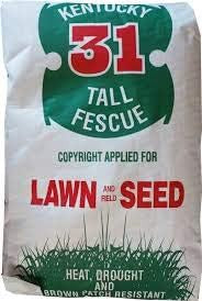 KY 31 Tall Fescue 100% seed 50# Bag – Agcare Products