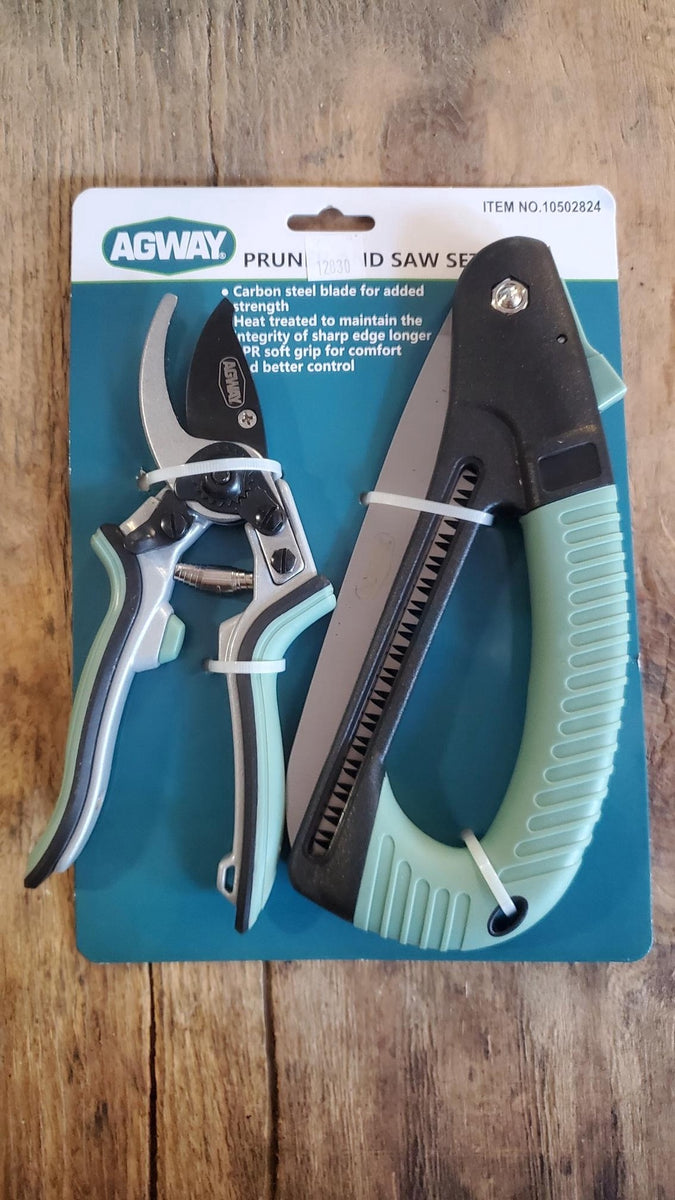 Pruner and Saw Set 2 pc – Agcare Products