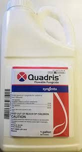 Quadris 1 gal Fungicide EPA 100-1098 – Agcare Products