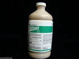 Entrust SC Naturalyte Insect Control 32 oz – Agcare Products