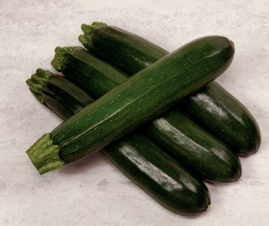 Envy Zucchini Squash (1M) Seasonal SO Special Order by Request – Agcare ...