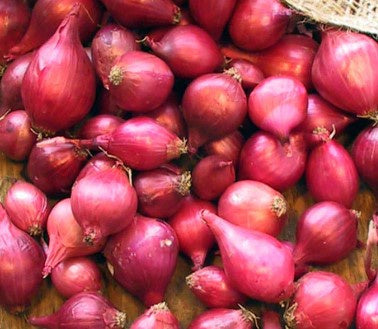 Onion Sets Red Purple (sold per pound) #1 Seasonal Special Order by Re ...