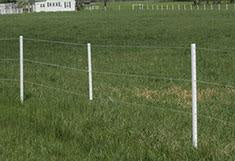 Timeless T Post 5x1.33 round DNR – Agcare Products