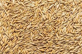 Spring Oats Seed Jerry 50 lbs. – Agcare Products