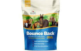 Electrolytes Bounce Back - 4 oz – Agcare Products